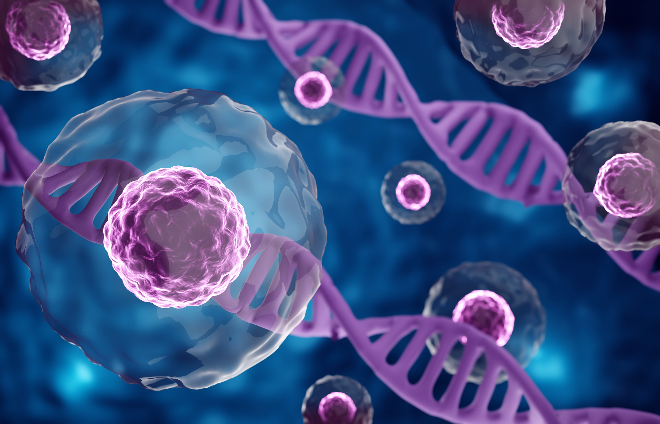 Fight back against “zombie cells”